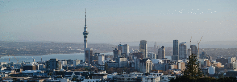 Professional Services | Consult Recruitment Agency New Zealand